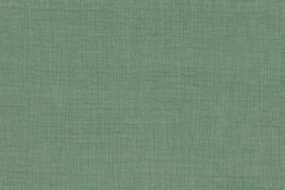 OFS - Lorelai - Mb Agave